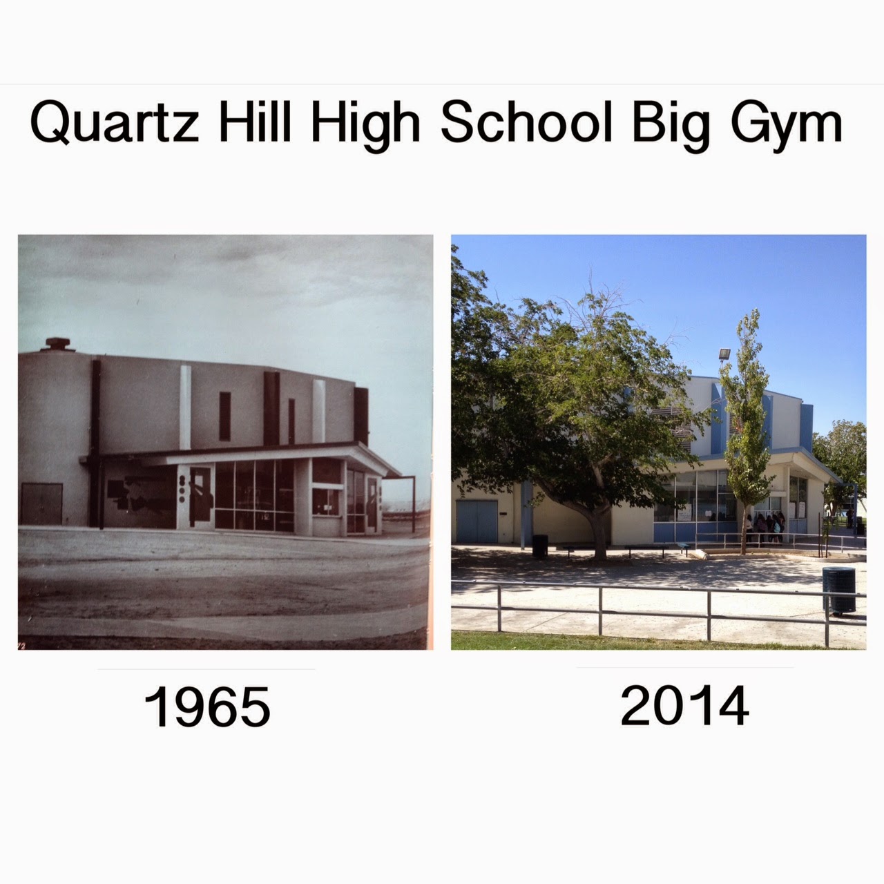 QHHS Alumni: 1965-1966: A Year of Jubilation