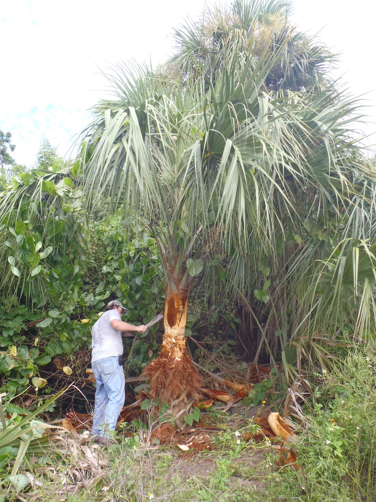 Cracker Tracks: Florida Cracker Life