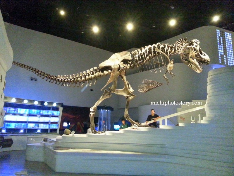 Michi Photostory: The Mind Museum Where Science Comes Alive