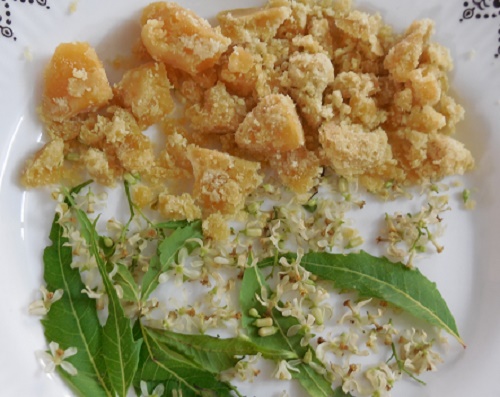 Bevu Bella - Alchetron, The Free Social Encyclopedia