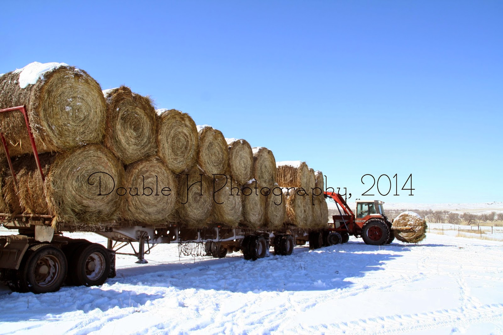 Double H Photography: Hauling Hay