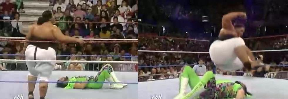 Wrestlemania para siempre: Royal Rumble (1993)