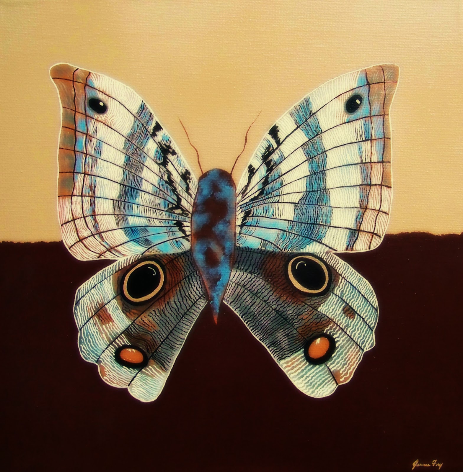 Conscious Art Studios: The Owl Butterfly: It's Beauty and Strength