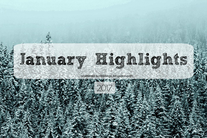 Monthly Highlights - January 2017 | Savannah Grace Writes: Monthly ...