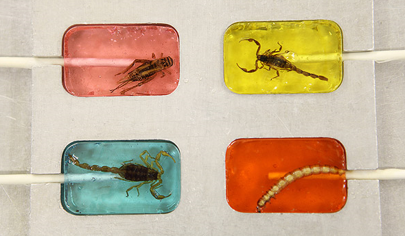 A Brief History of the “Lollipop.” – History Spaces