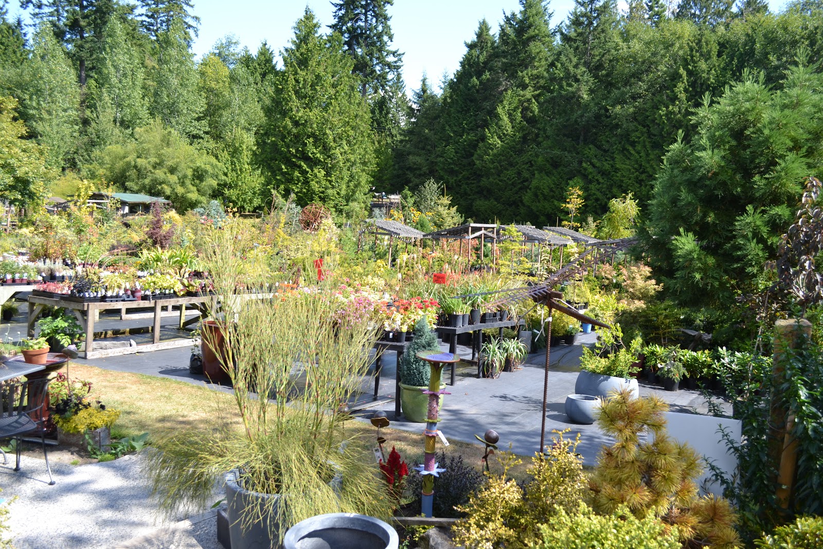 The Outlaw Gardener: Visiting Dragonfly Farms