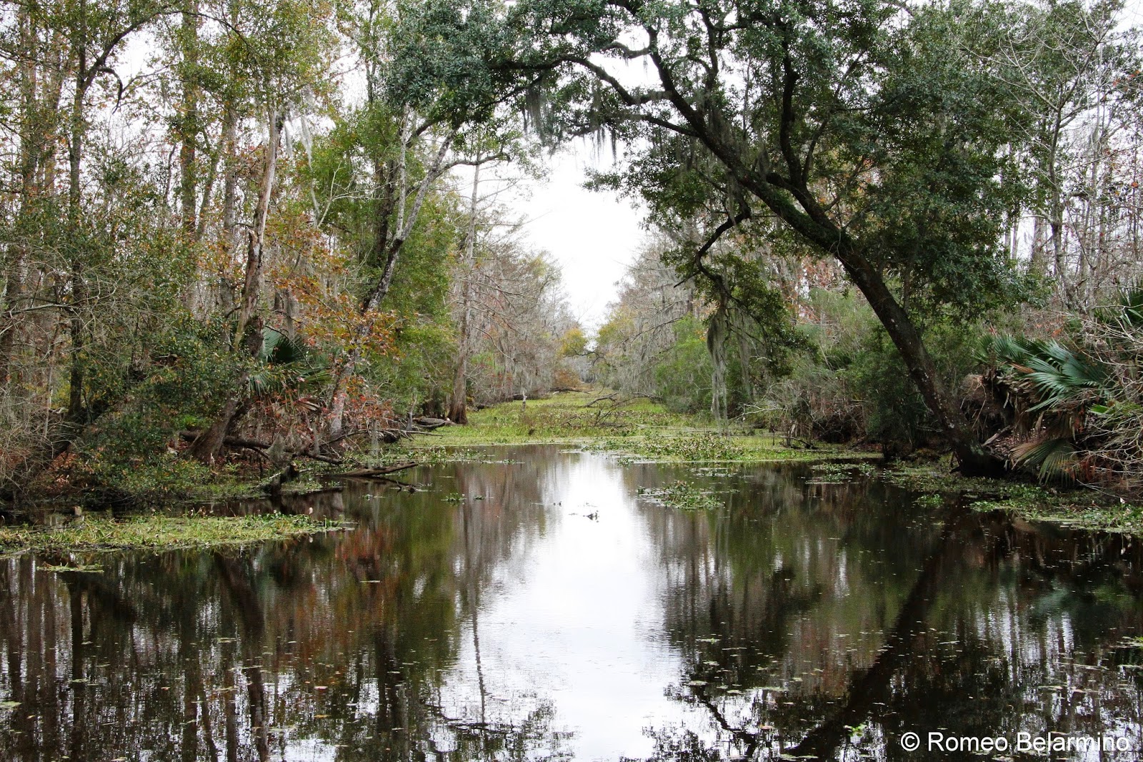 Alligator Hunting on a New Orleans Swamp Tour | Travel the World