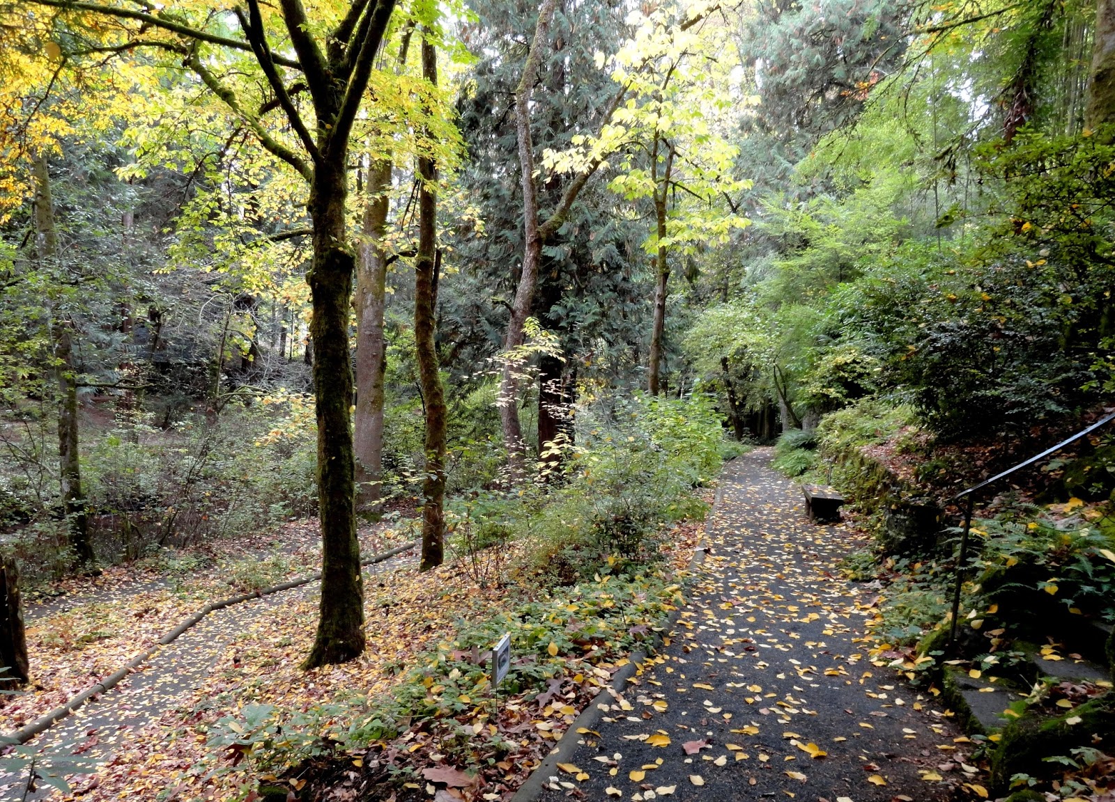 danger garden: A walk at the Leach Botanical Garden