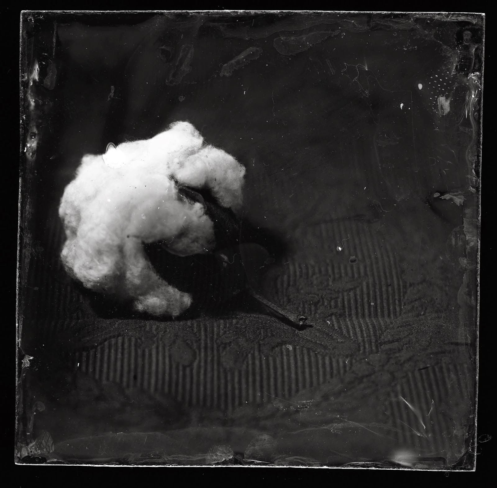 Taylor M. Polites: Wet Plate