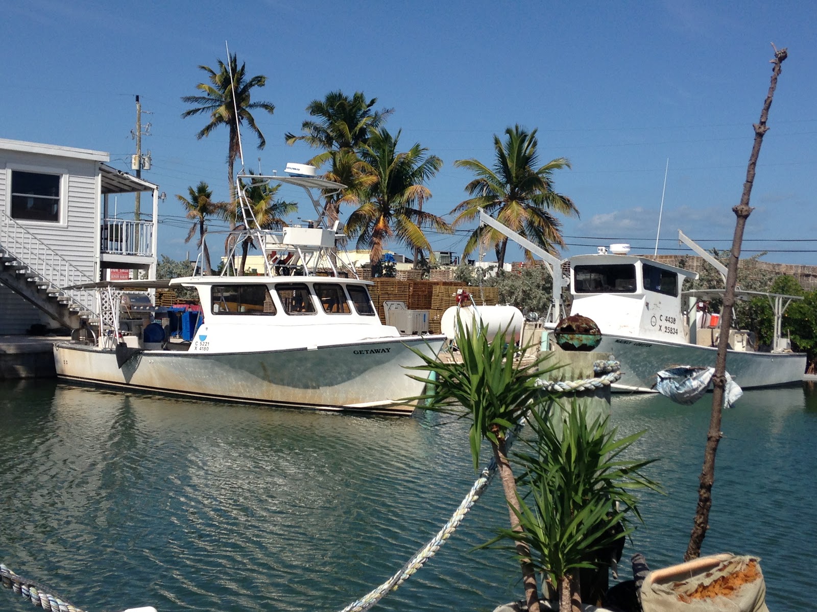 Conch Country | Ms. Blonde Bangs