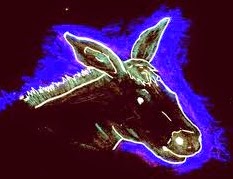 LA JARJACHA ... Sabes cual es su orígen ? - Secreto Mundial