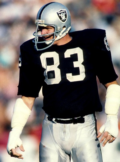 Mis Publicaciones Recientes: La despiadada garza que llegó a la NFL de ...