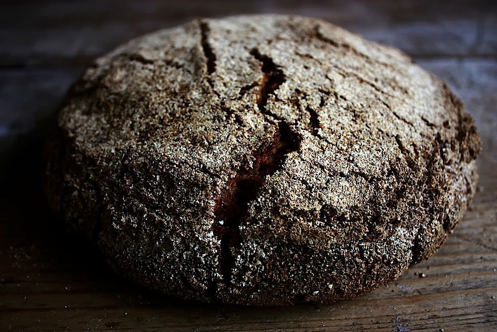 Tartine Bread Experiment: Sidebar Sunday: Happy Accident 100% Sprouted Rye