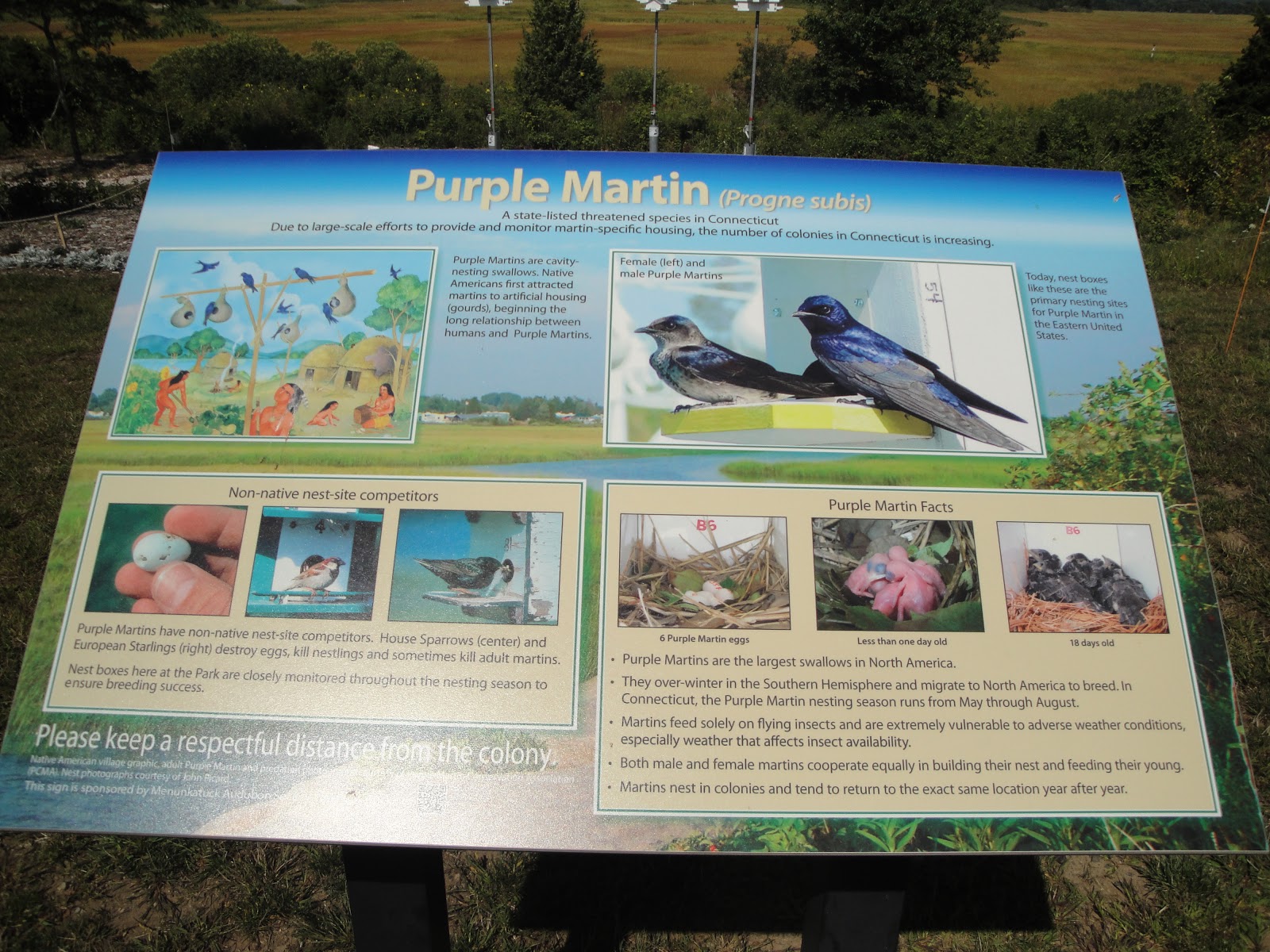 The Pringle Plan: Meigs Nature Center