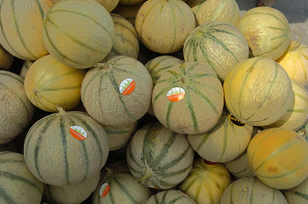 Behind the French Menu: The Best Melons in France, the Cavaillon Melon.