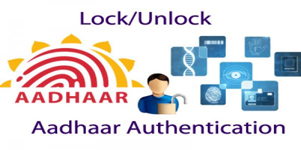 How to Check Aadhaar Authentication History [ UIDAI Trick 2018 ...