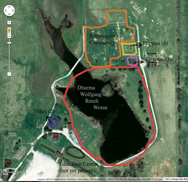 (More Than) A Spot in the Sun: Wolf Intensive Weekend