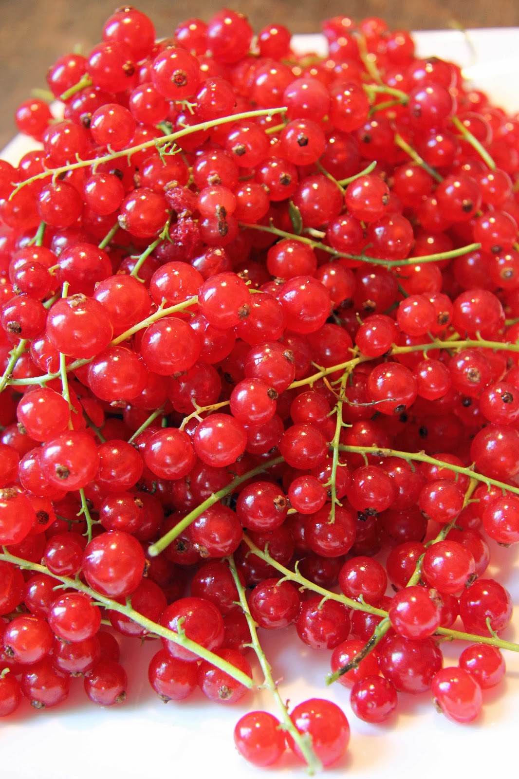 HaseundFlo: Sommerzeit ist Beerenzeit - Teil 1 Johannisbeeren