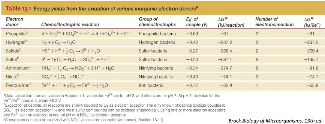 What is Chemolithotrophs / Chemolithotrophy? - Microbes World