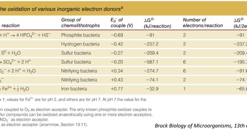 What is Chemolithotrophs / Chemolithotrophy? - Microbes World