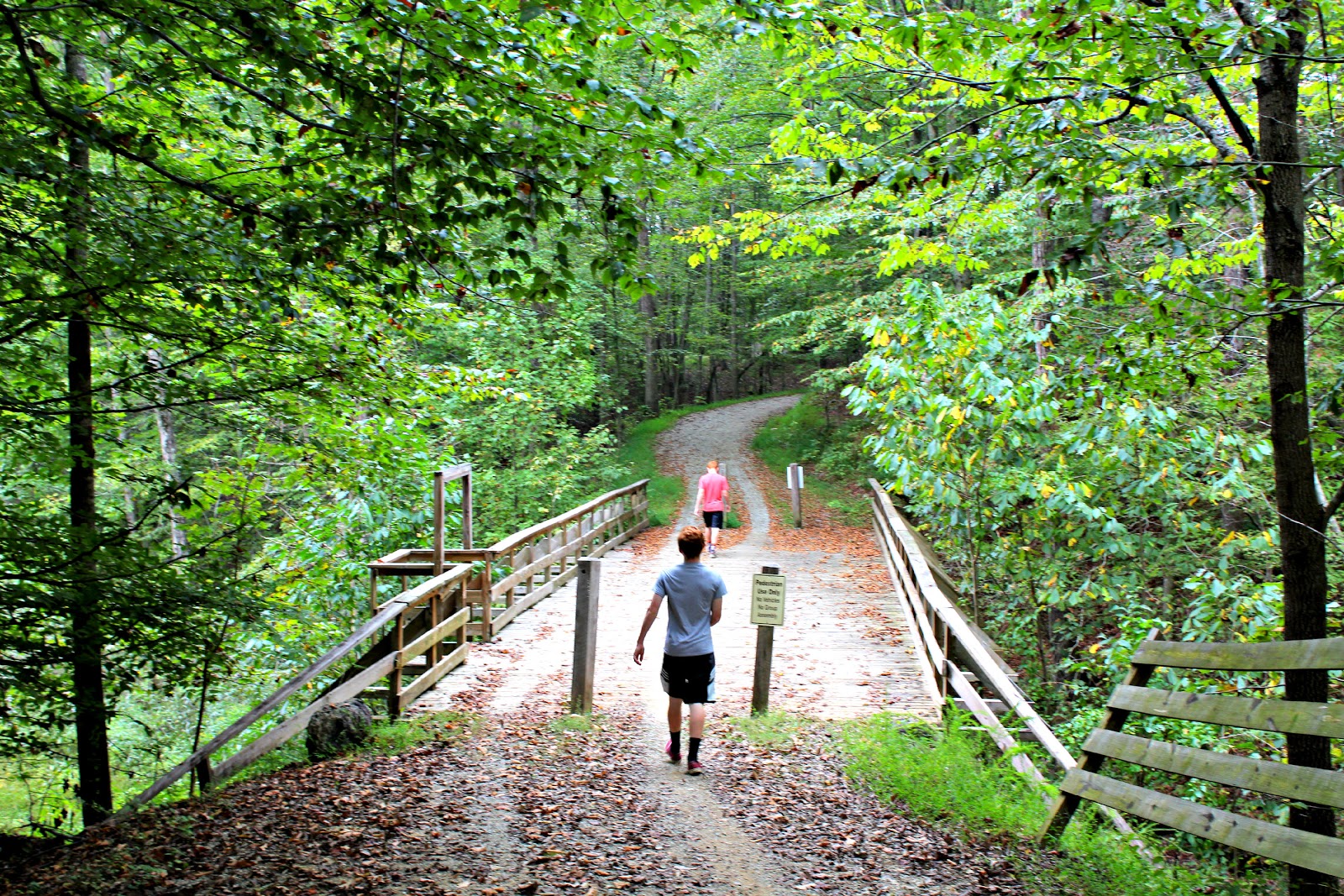 Around Roanoke, VA (A Daily Photo Blog): Trailing Behind