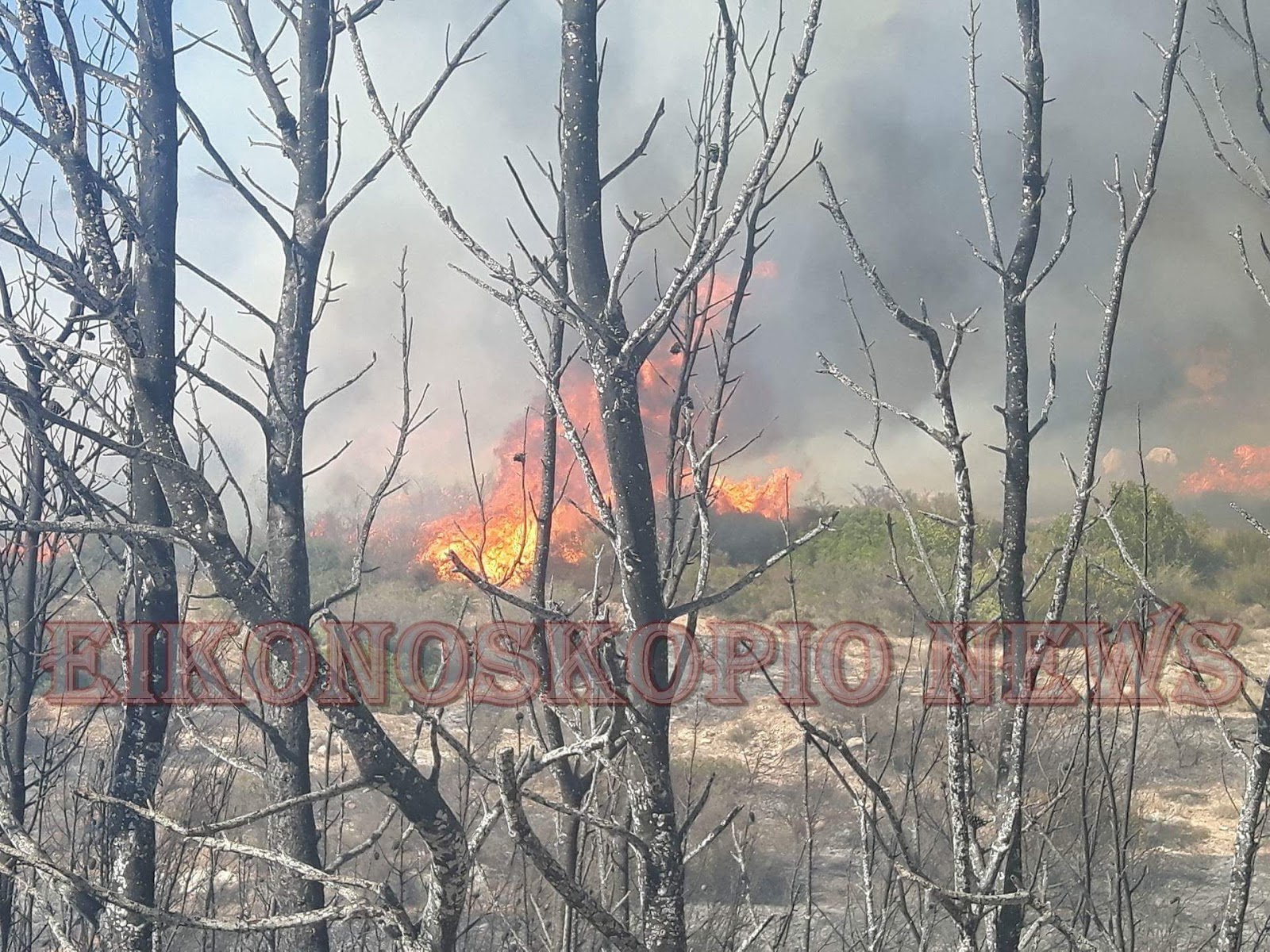 Εικονοσκόπιο News: ΜΕΓΑΛΗ ΦΩΤΙΑ ΣΤΙΣ ΣΠΕΤΣΕΣ ΞΕΣΠΑΣΕ ΣΗΜΕΡΑ ΤΟ ΜΕΣΗΜΕΡΙ