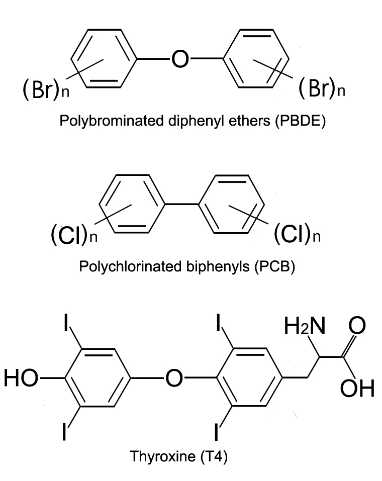 Insights into Veterinary Endocrinology: Flame Retardant Chemicals in ...