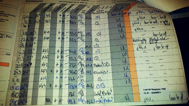 Jessy on Tour: Darf ich vorstellen? Mein Mutterpass : )