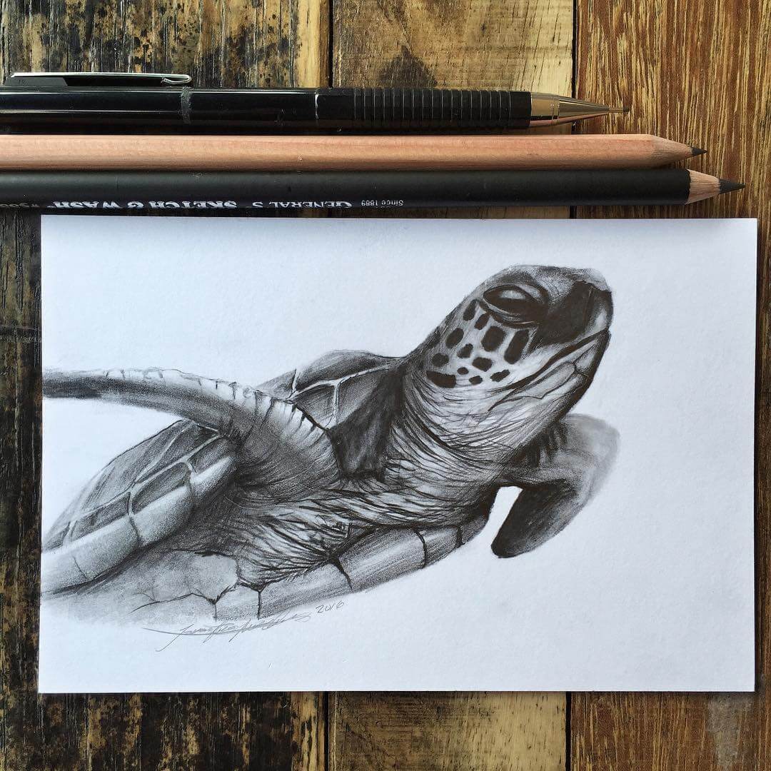 Design Stack: A Blog about Art, Design and Architecture: Animal ...