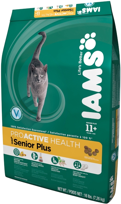 The Story of my Sainted Cat, and Why I'm Feeding him Iams - Maple Leaf ...