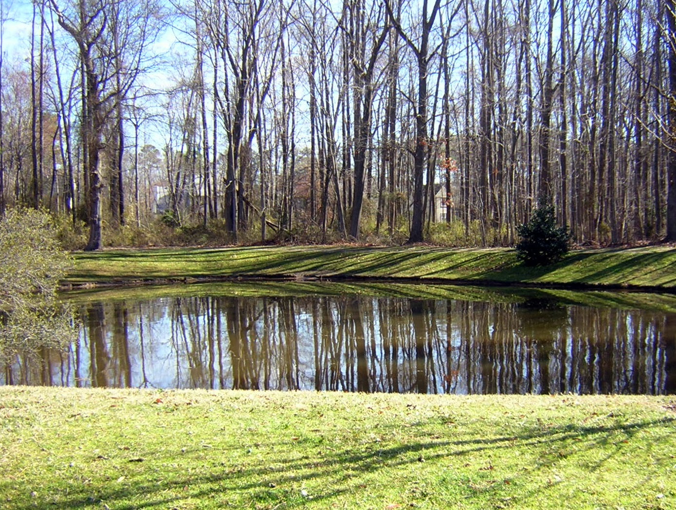 Still Waters--Notes from a Virginia Shire: Still Waters