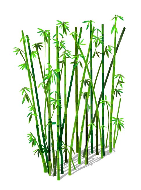 Aneisha Allen - 2d Digital Artist