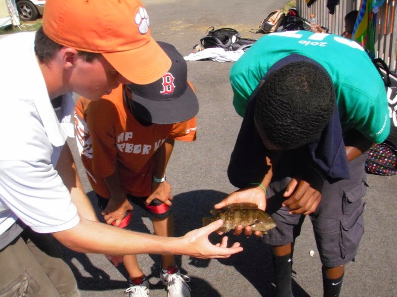 Sea, Sand and Sky: Fishing for Bergall- Yum!