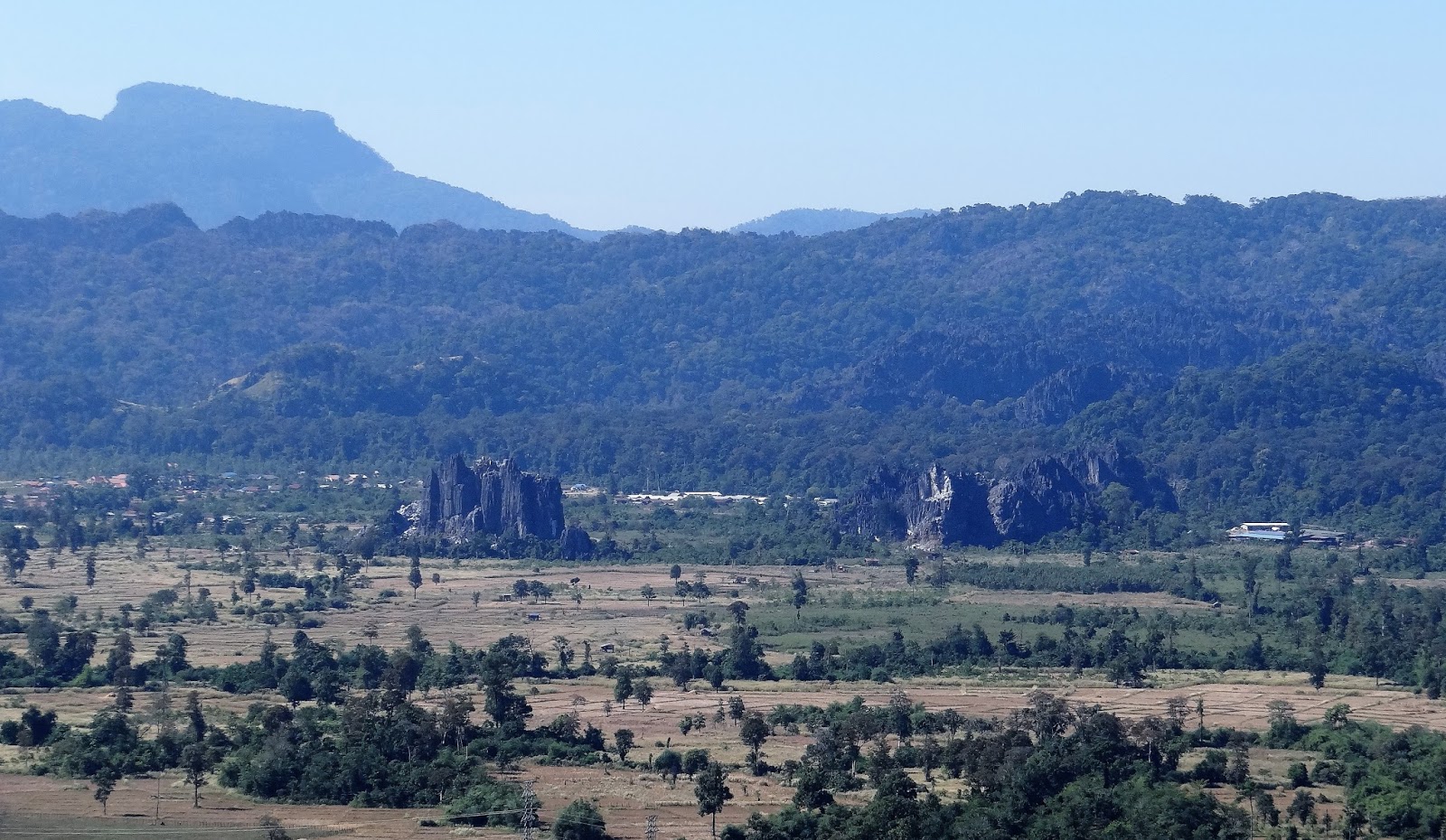 sunshinecoastbirds: Limestone Karsts and Strange Bulbuls of Laos