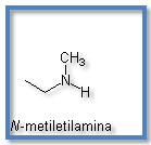 Aminas y Amidas: AMINAS.