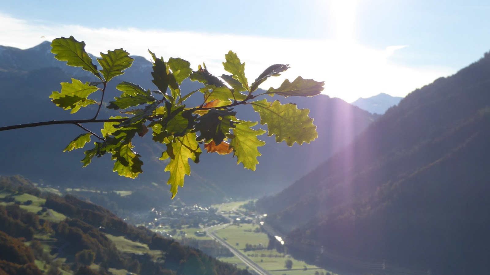 Pfannenstiel Wanderblog: Seewis - Malans - Jenins - Maienfeld (über ...