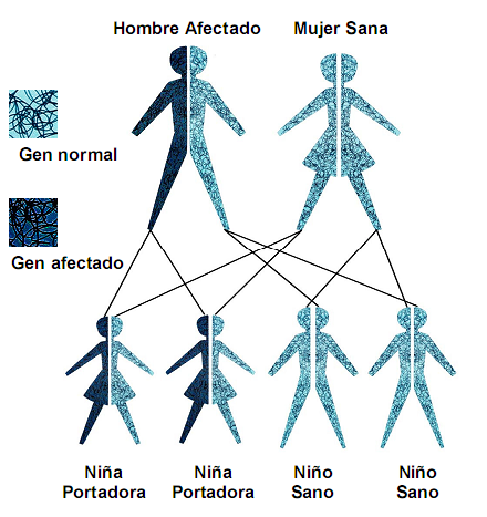 Biologia Eu (:: Genes y esas cosas......