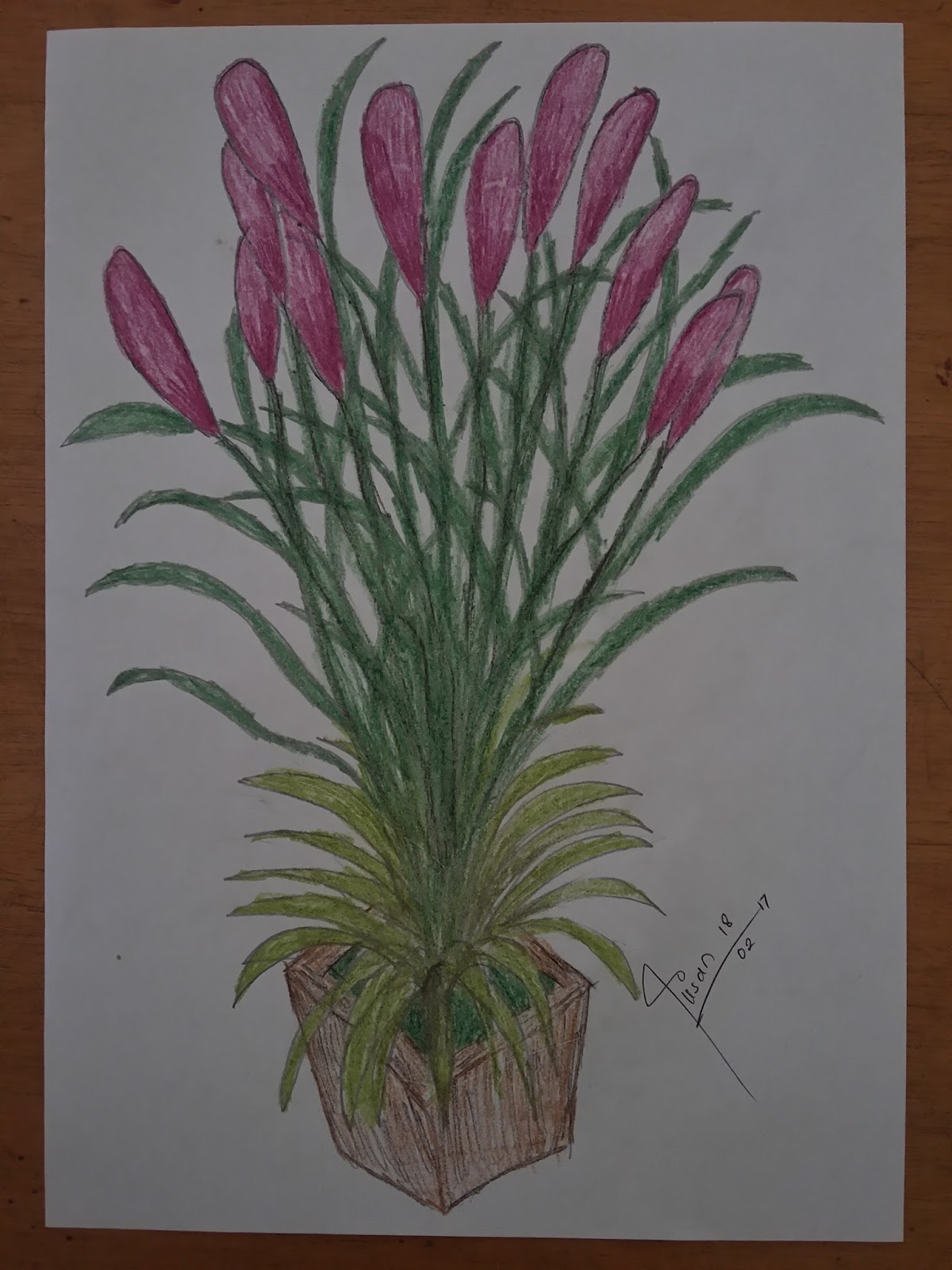 INC@ Studio & Galeria: Desain Bunga, Aplikasi Bunga dan Bonsai by INC@