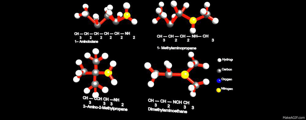 Manash (Subhaditya Edusoft): Organic Chemistry Part 4 : Amines