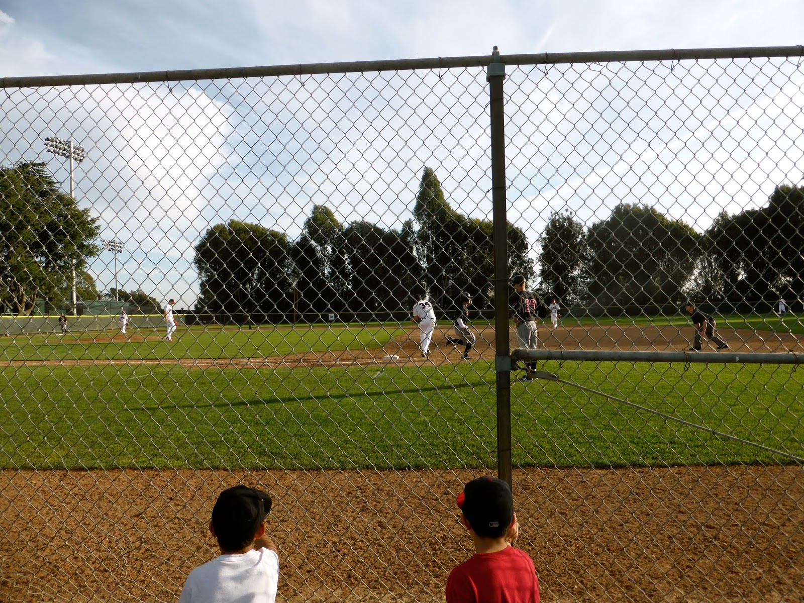 Western Oregon Wolves Baseball