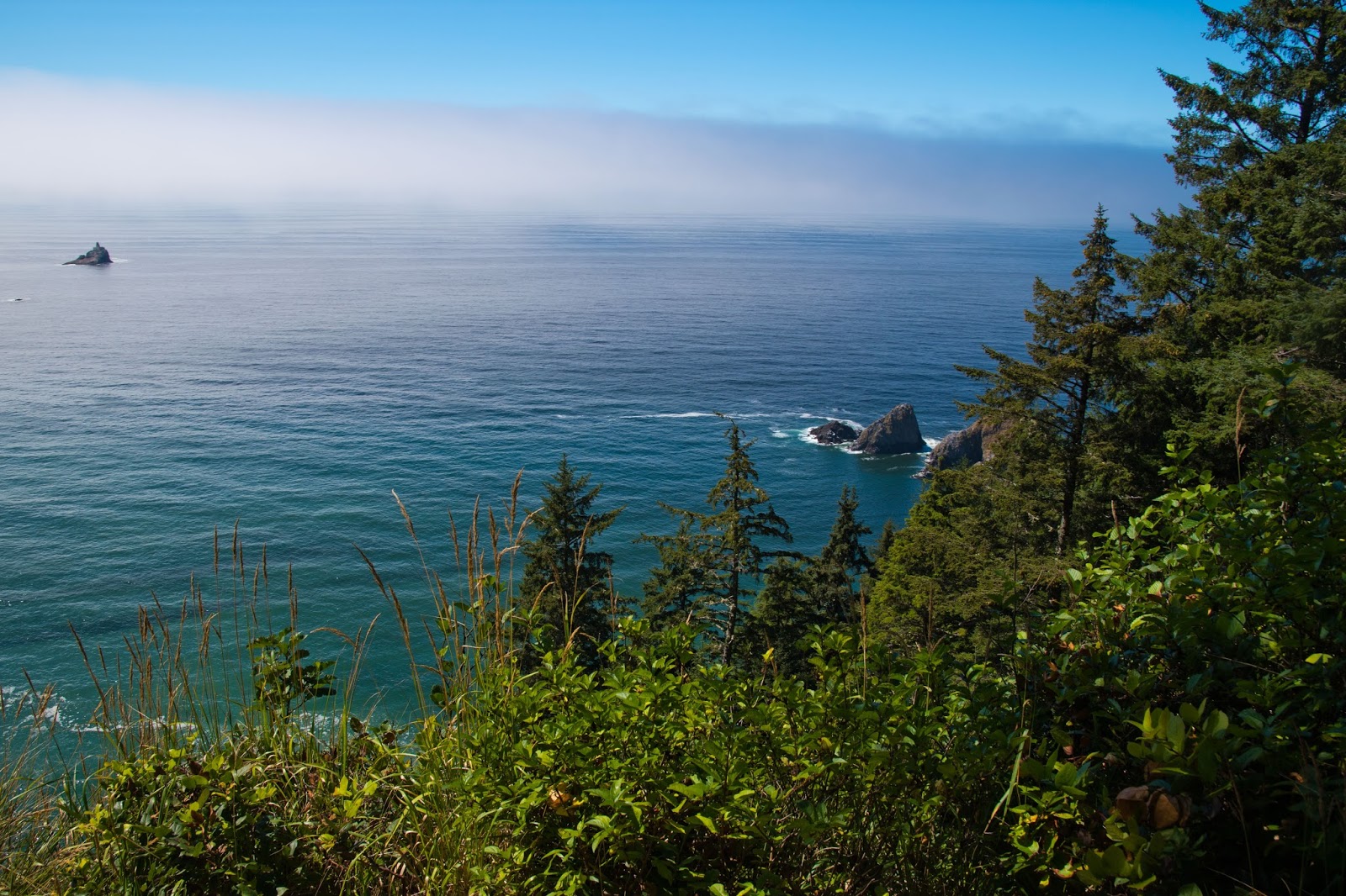 Hiking Shenandoah: Clatsop Loop