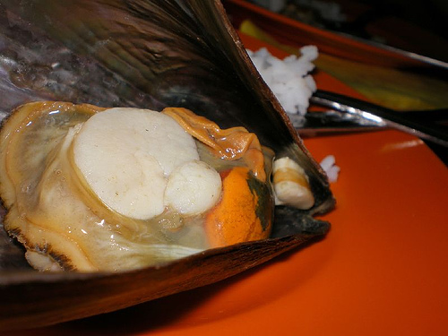 Xing Fu: SIPUT KEMUDI