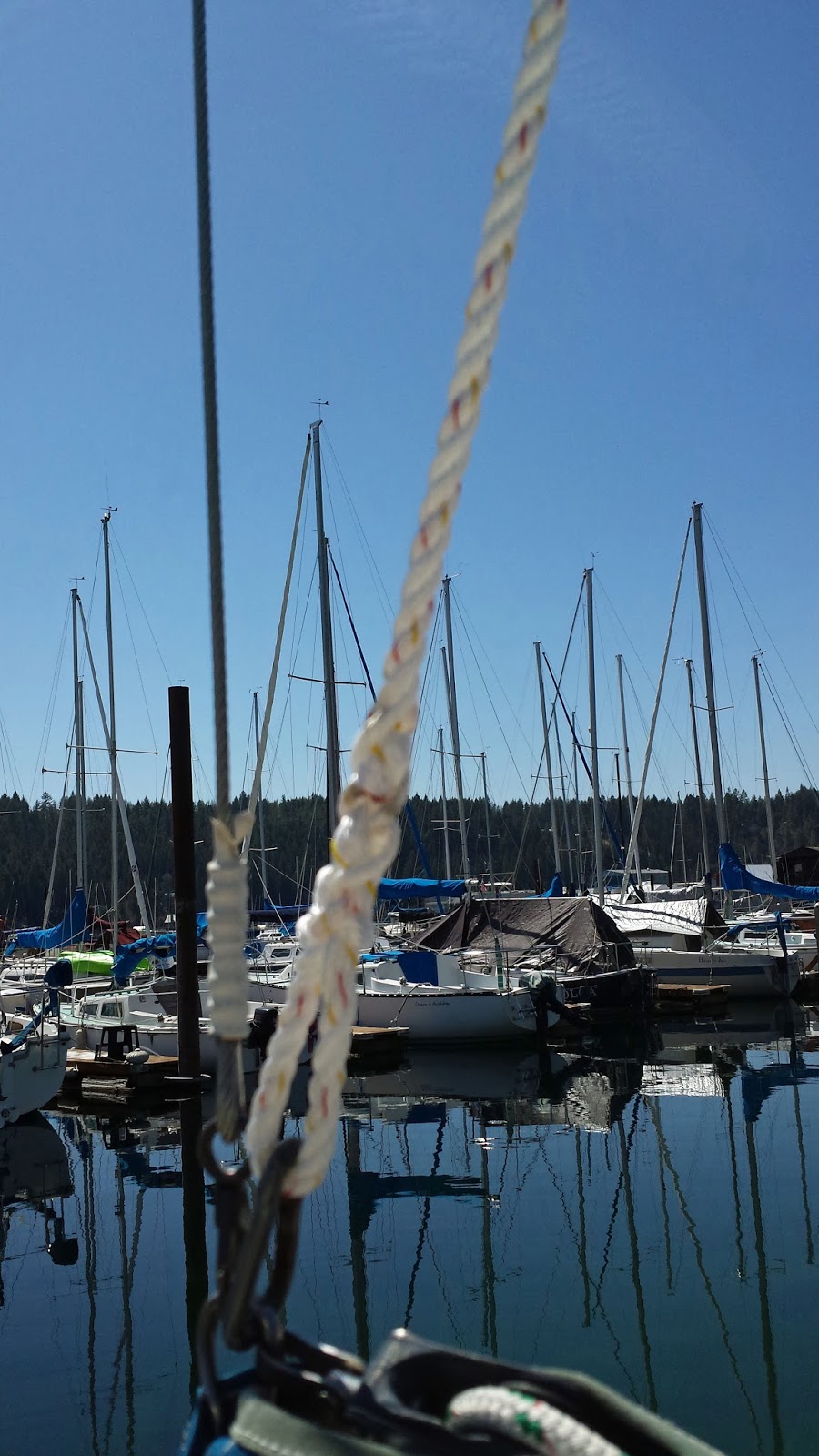 Barnacle Bill Holcomb's Sailing: Inspect Your Topping Lift