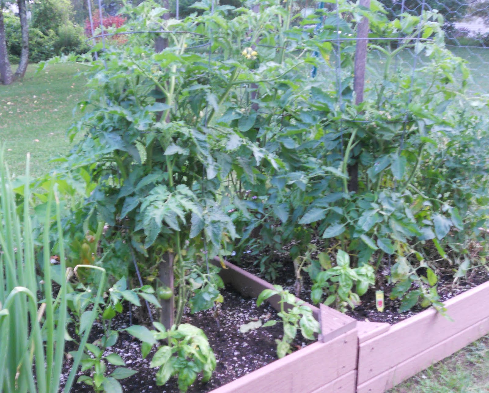 July Gardening To Do List