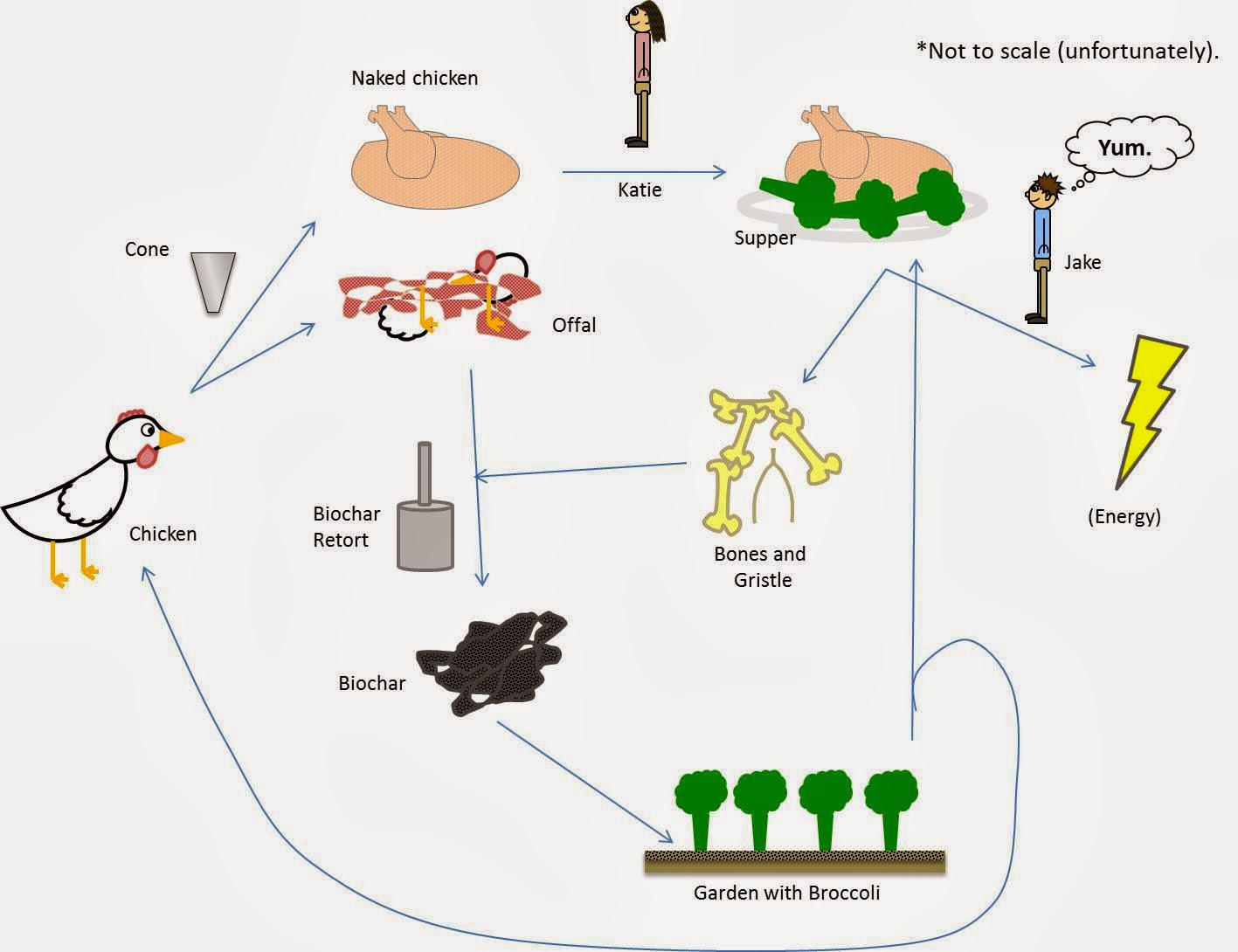 The Homestead Laboratory: Biochar from Butchering Waste