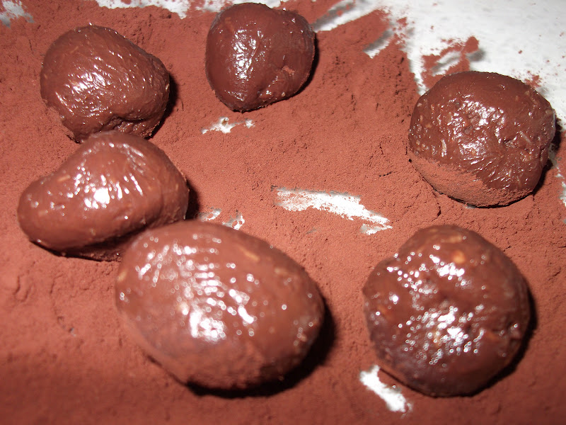 Fuzz Free Food: Chocolate Truffles