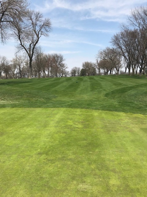 Field Club of Omaha Turf Blog: 2018