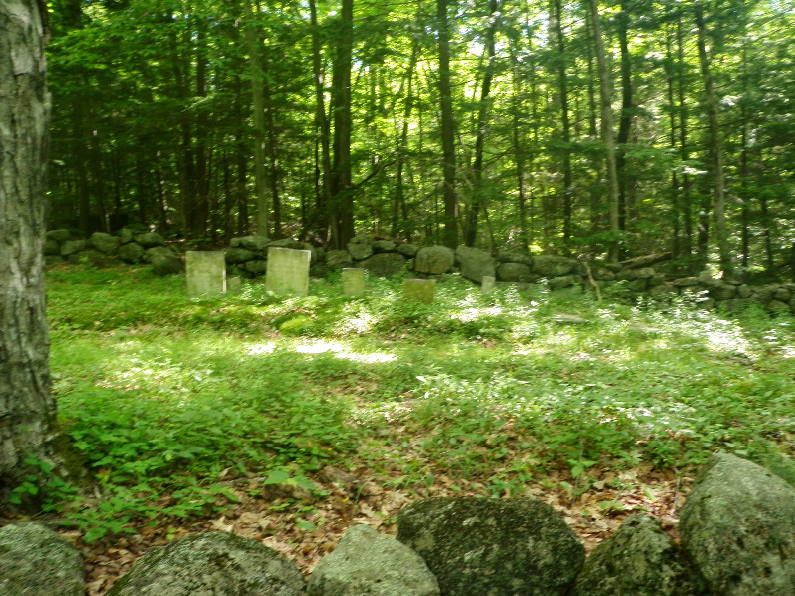 Trekking For A Cure. Giving MS The Boot!!: Monroe Hill (Fox State ...