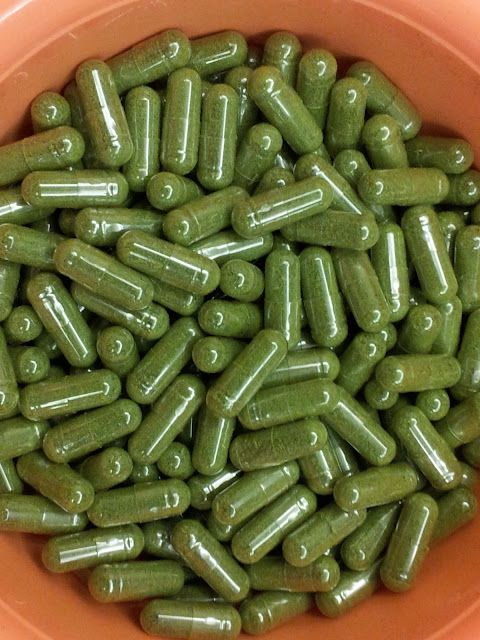 Sabah Snake Grass SSG: Photo Gallery - SSG