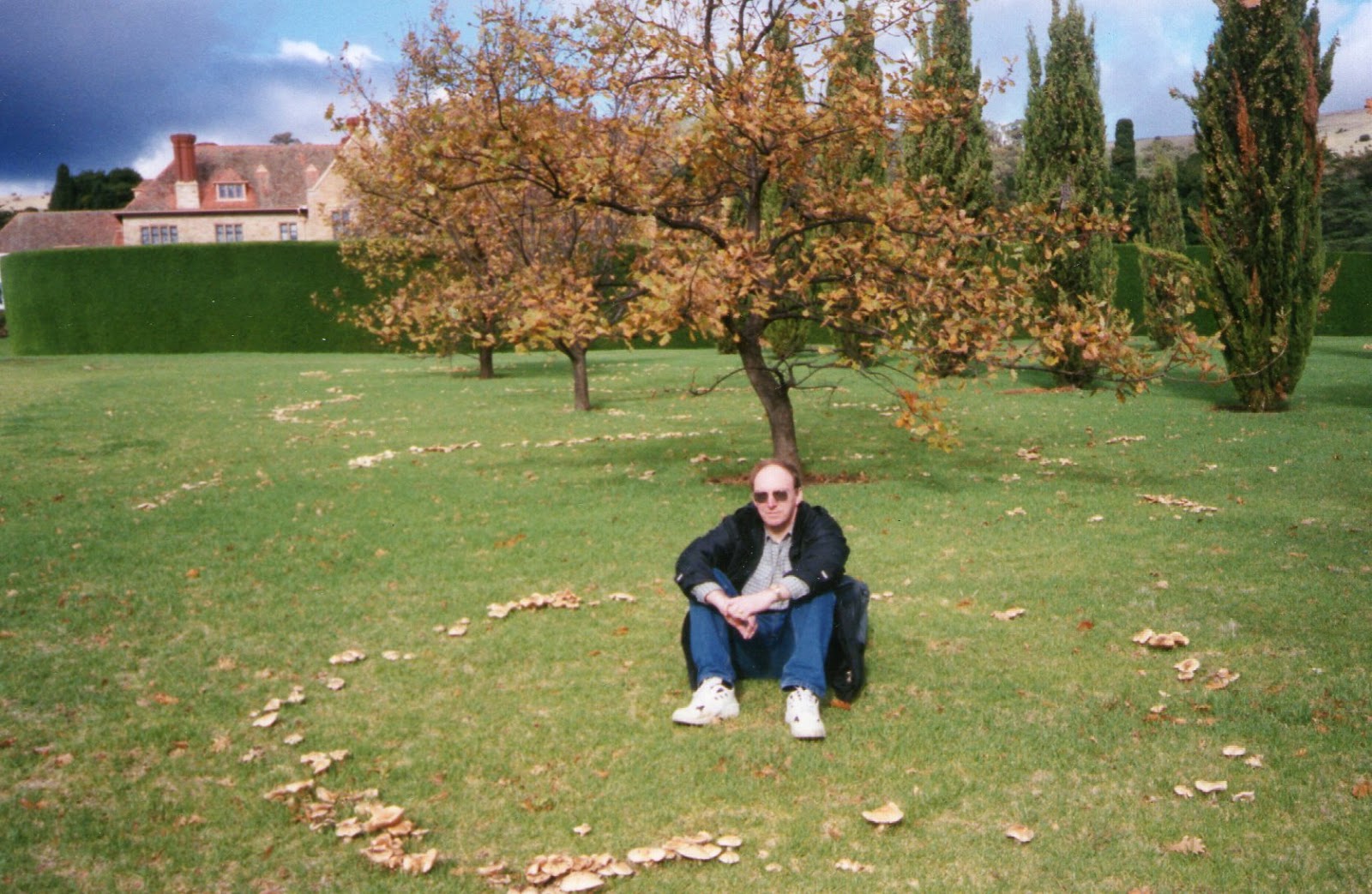 Unidentified Anomalous Phenomena - scientific research: "Fairy rings ...